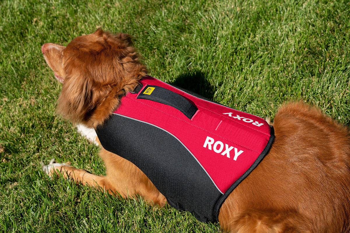 K9 Dog Life Jacket K9 Ballistics K9 Dog Life Jacket K9 Ballistics