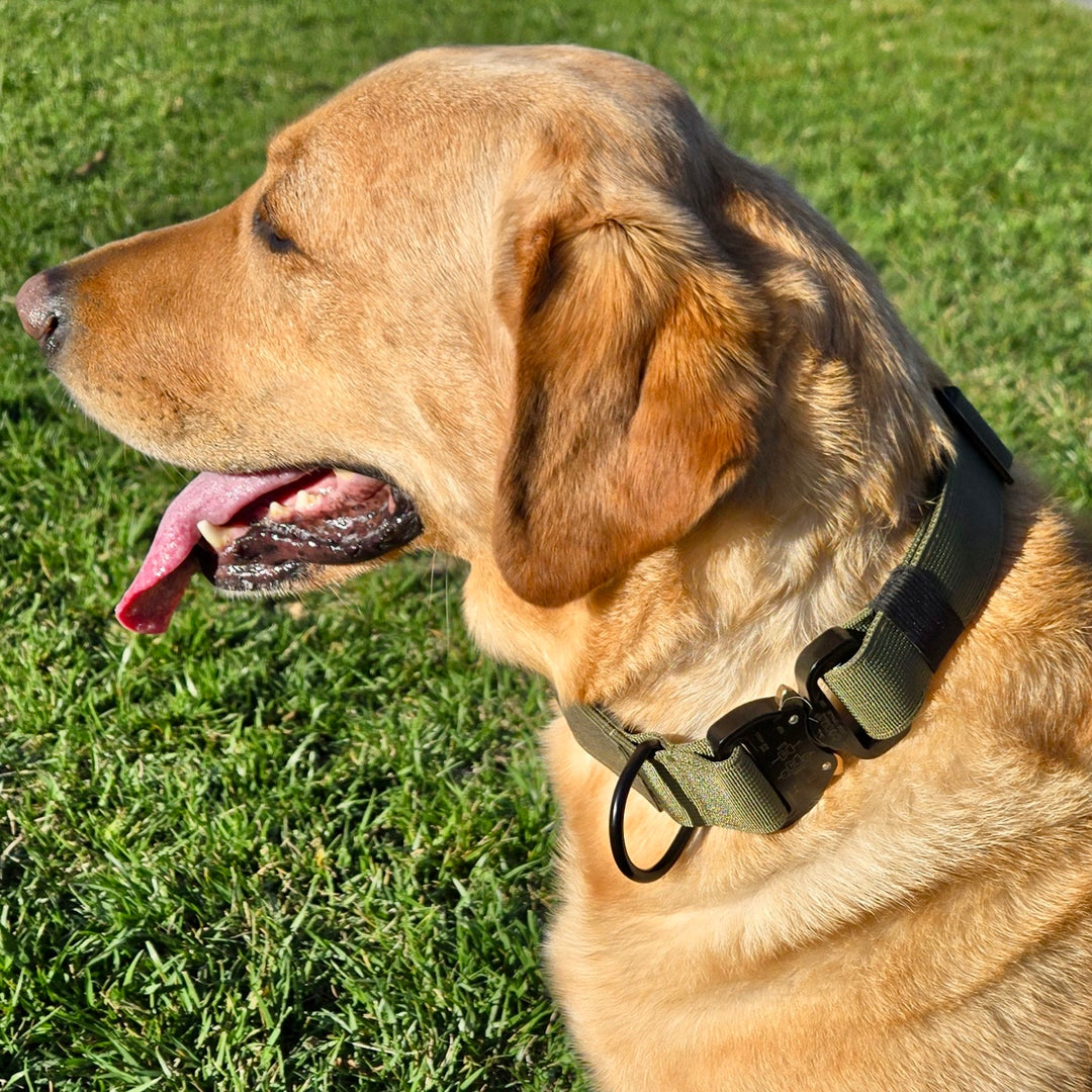 K9 Ballistics® | Dog Beds & Gear Built to Last