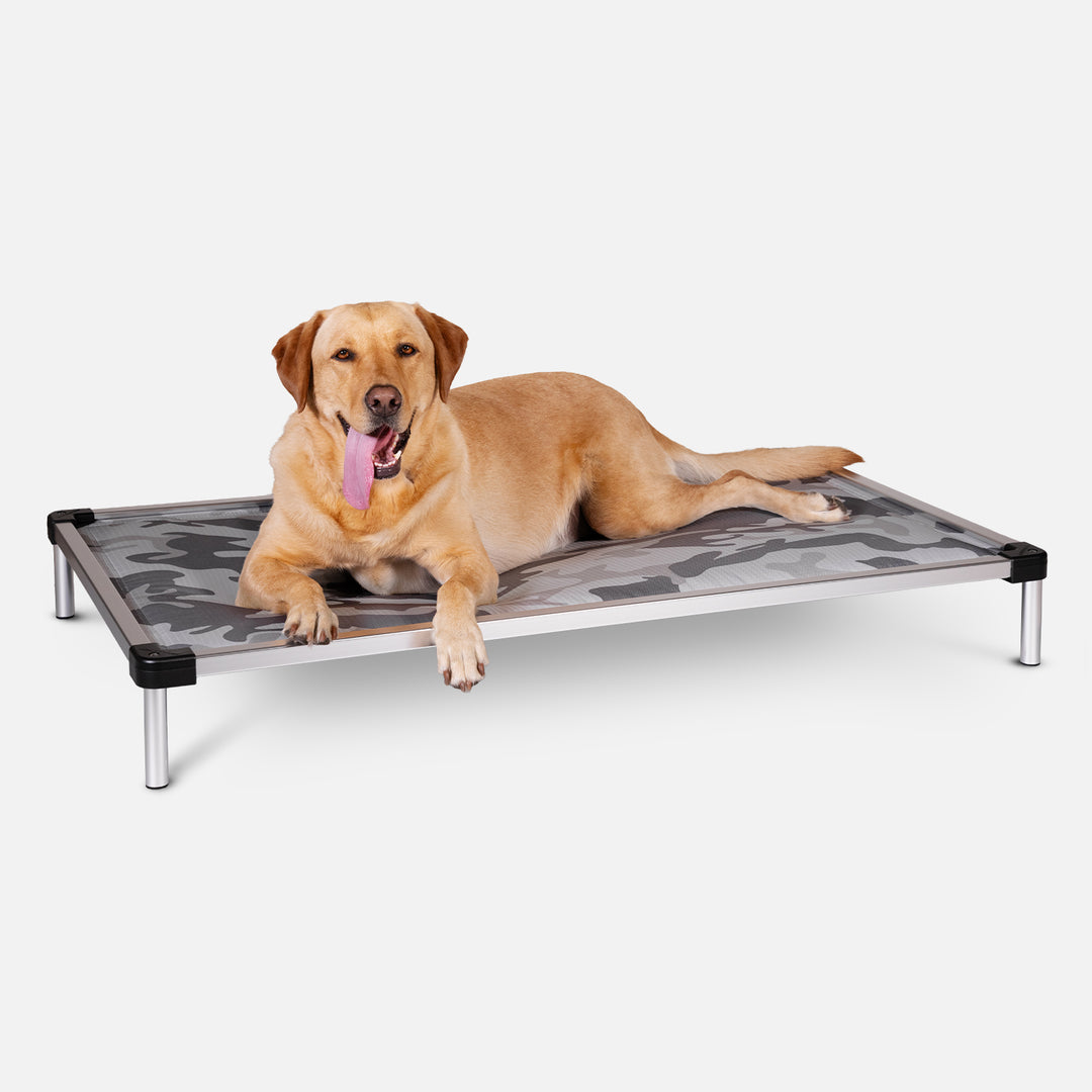 Chew Proof Armored™ Padded Elevated Dog Crate Bed | Indestructible Dog ...