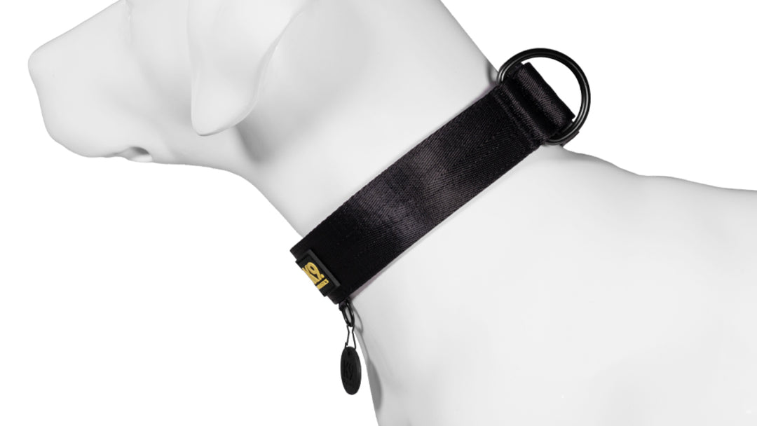 K9 Pro™ Dog Collar with Handle – K9 Ballistics