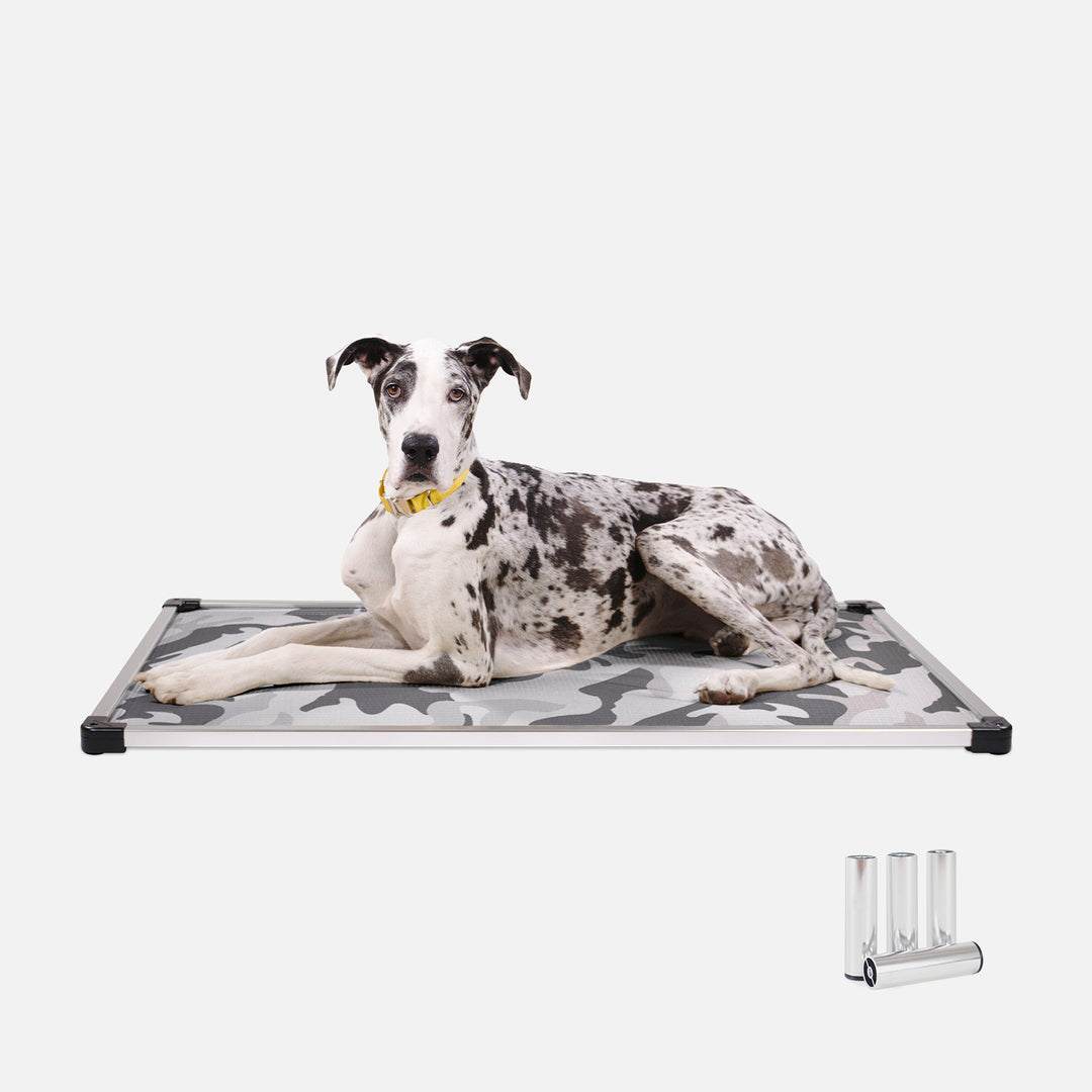 Chew Proof Armored™ Padded Elevated Dog Crate Bed | Indestructible Dog ...