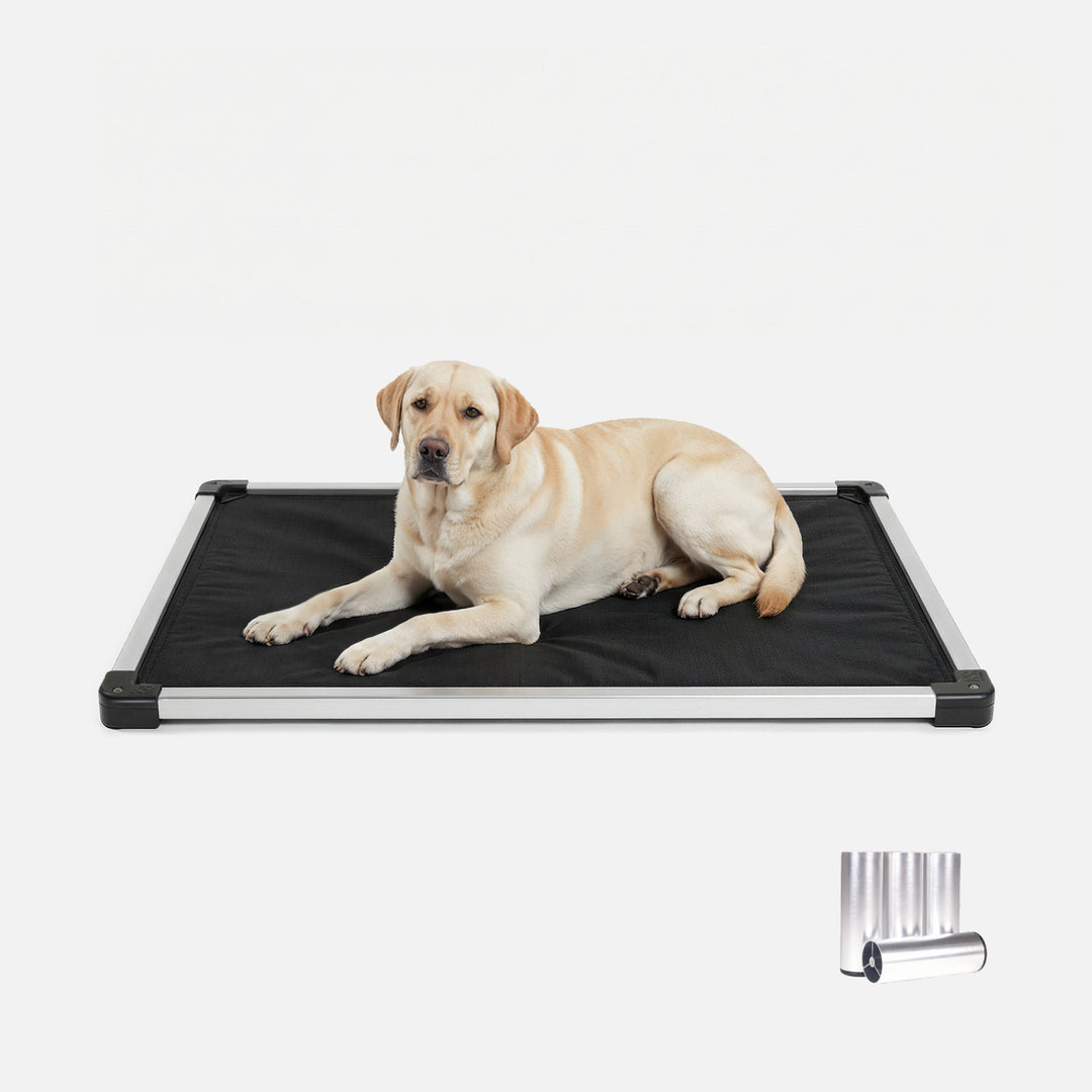 Chew Proof Armored™ Padded Elevated Dog Crate Bed | Indestructible Dog ...