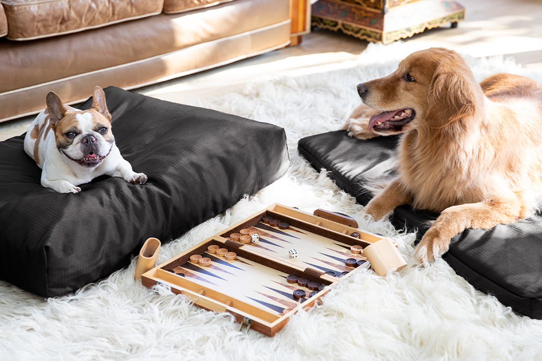 K9 Ballistics® | Dog Beds & Gear Built to Last