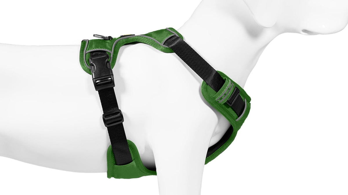K9 Everyday™ Dog Harness – K9 Ballistics
