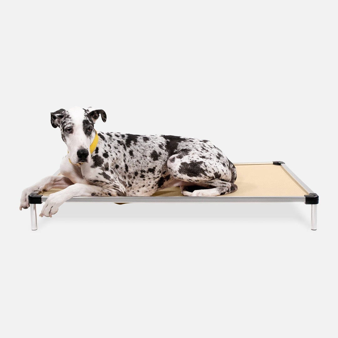 K9 Ballistics Chew Proof Armored™ Rip-Stop Elevated Dog Bed