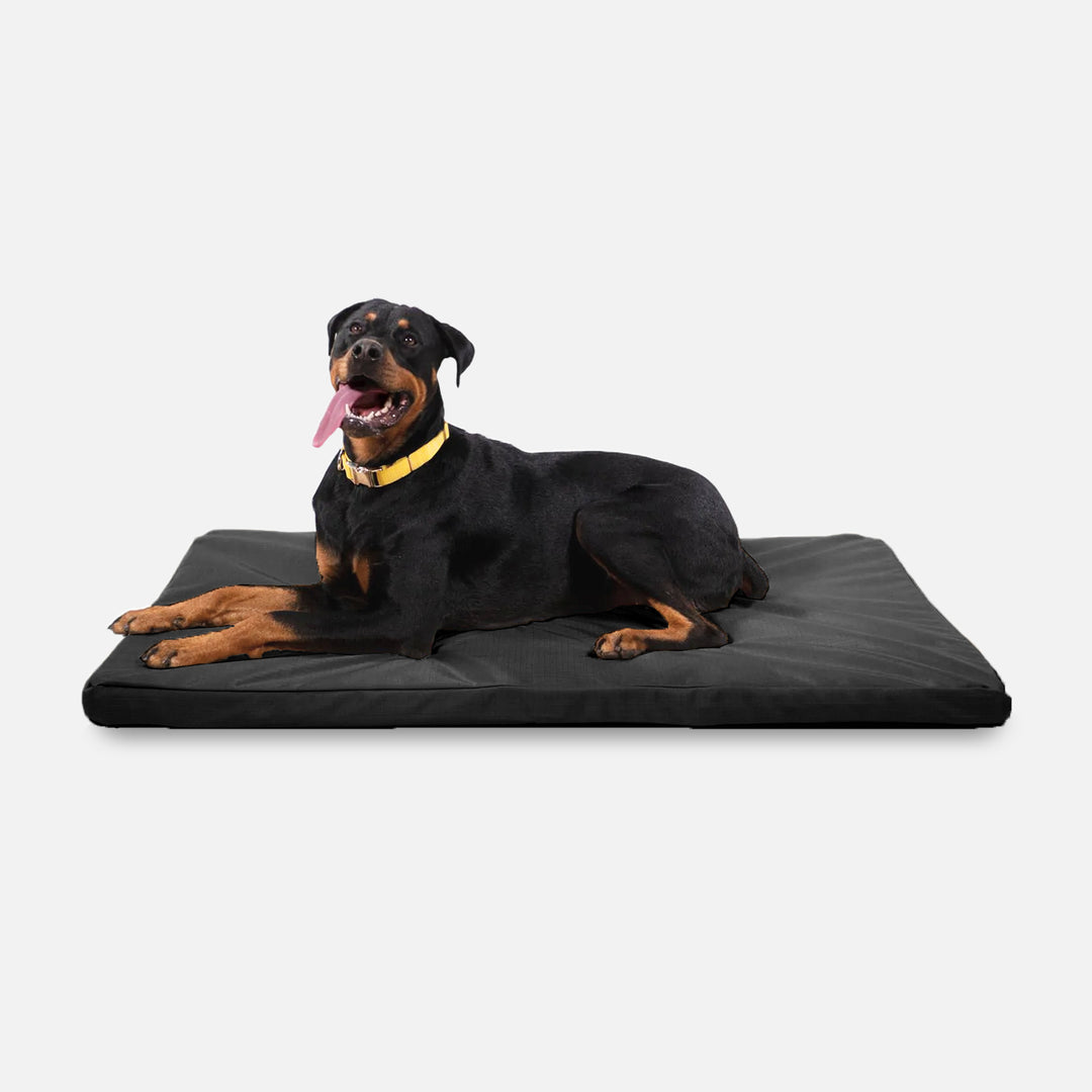 Tough Rip-Stop™ Orthopedic Dog Crate Bed | K9 Ballistics