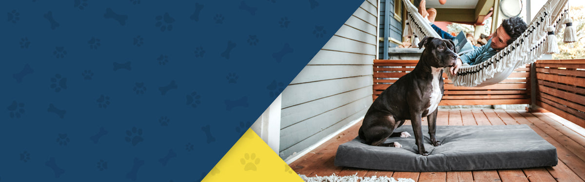 K9 Ballistics® | Dog Beds & Gear Built to Last