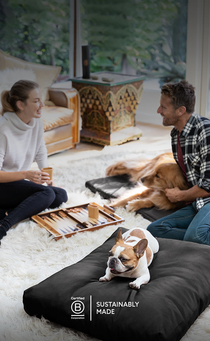 K9 Ballistics® | Dog Beds & Gear Built to Last