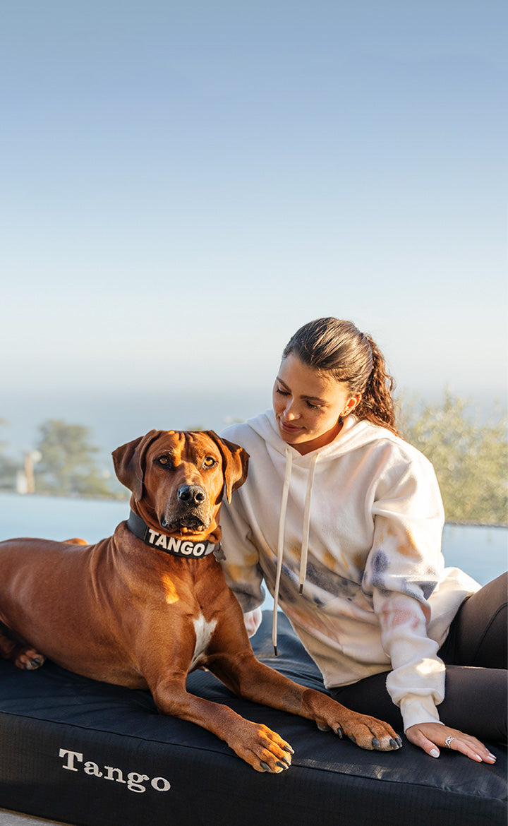 K9 Ballistics® | Dog Beds & Gear Built to Last