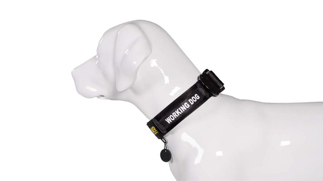 K9 Pro™ Dog Collar with Handle – K9 Ballistics