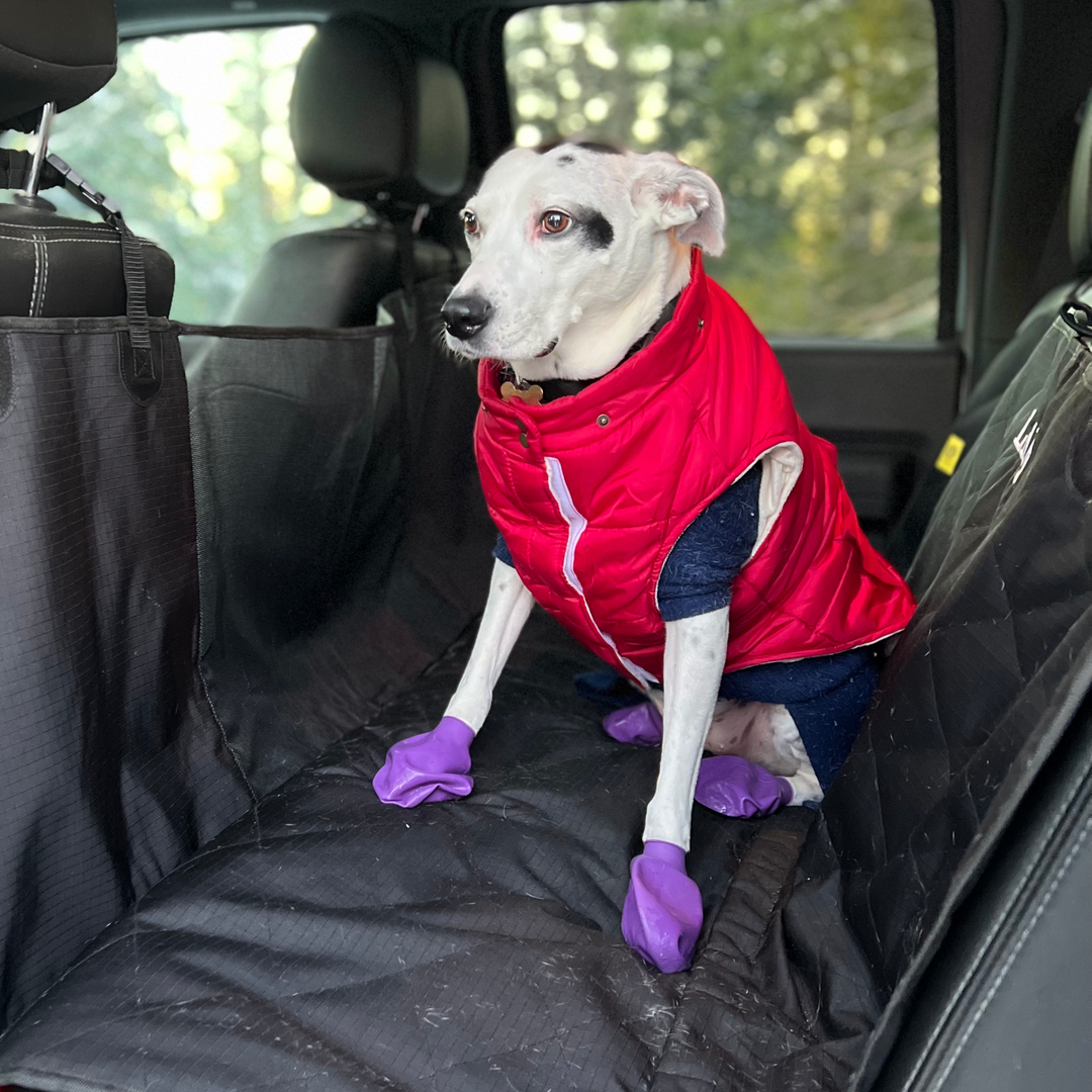 Tough Rip-Stop™ Dog Back Car Seat Cover | K9 Ballistics®