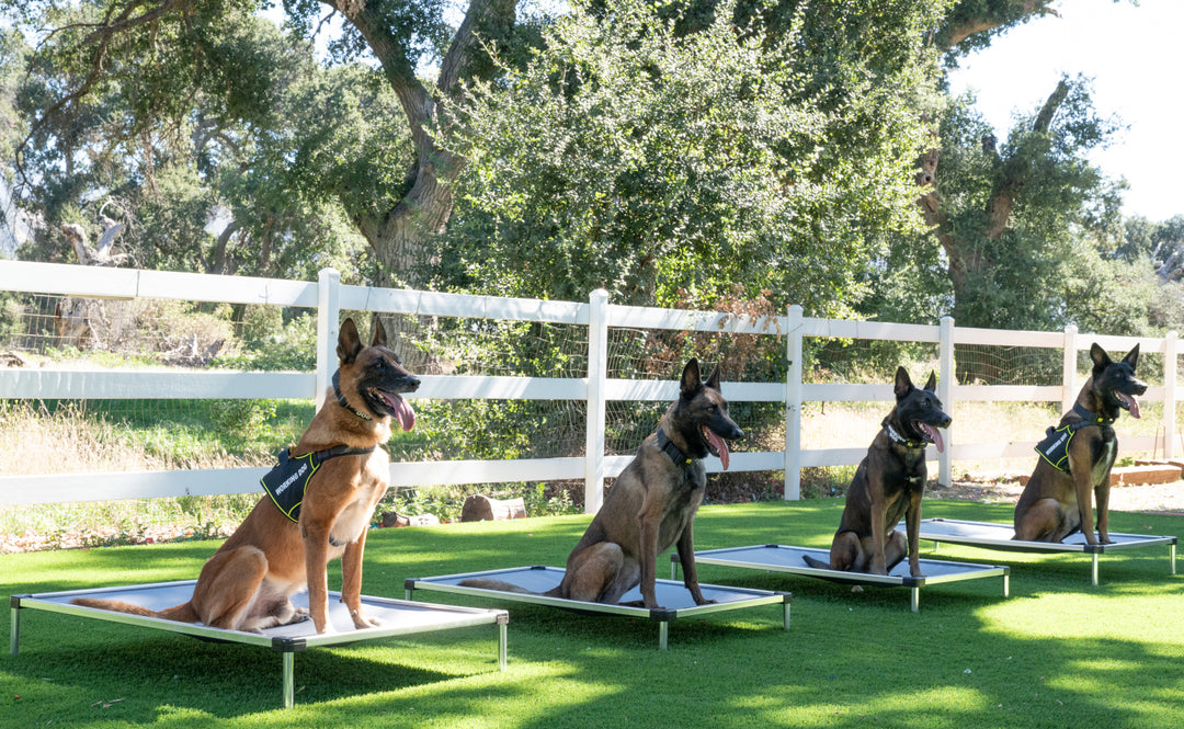 K9 Pro™ AirTag Holder – K9 Ballistics