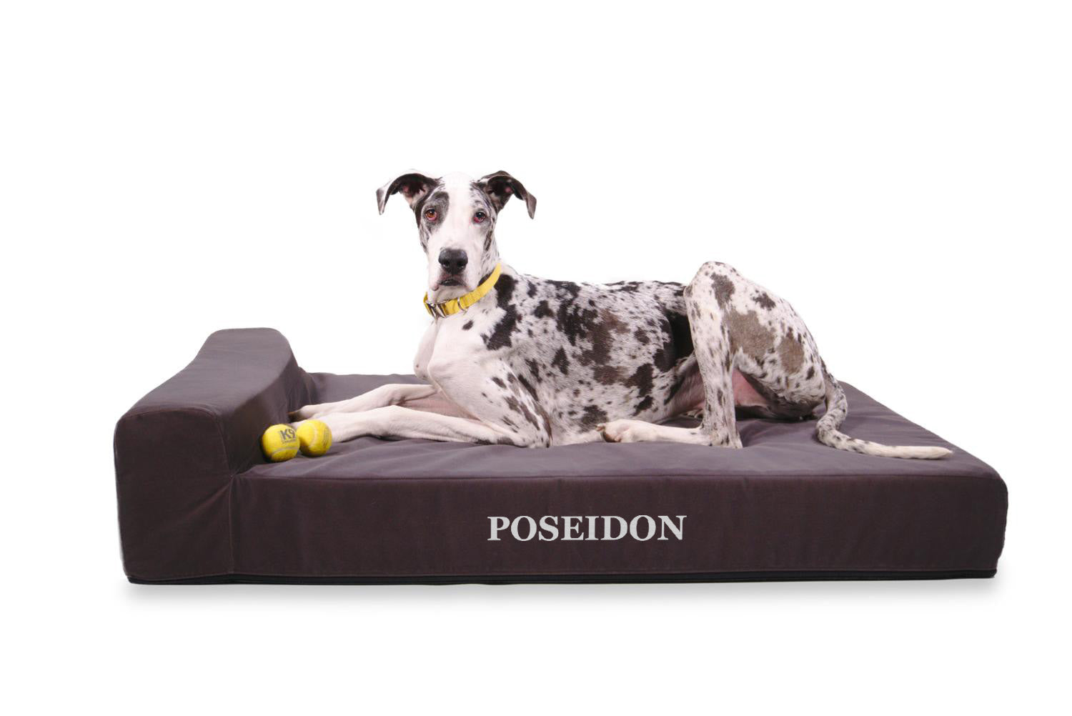 Warranty – Tagged "PN:Giant Bolster 7 inch Orthopedic Dog Bed"– K9 ...