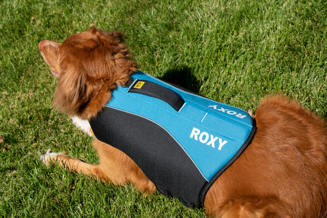 K9 Adventure™ Dog Life Jacket – K9 Ballistics