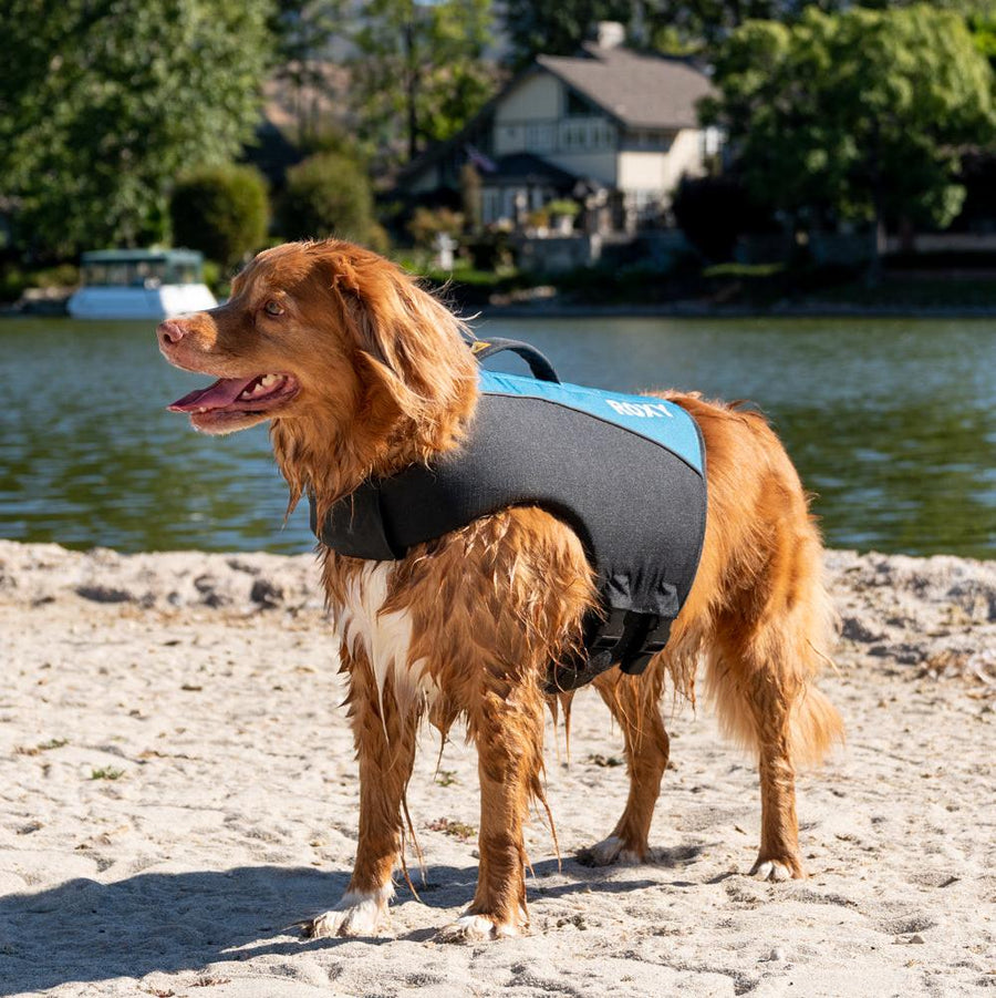 K9 Adventure™ Dog Life Jacket – K9 Ballistics
