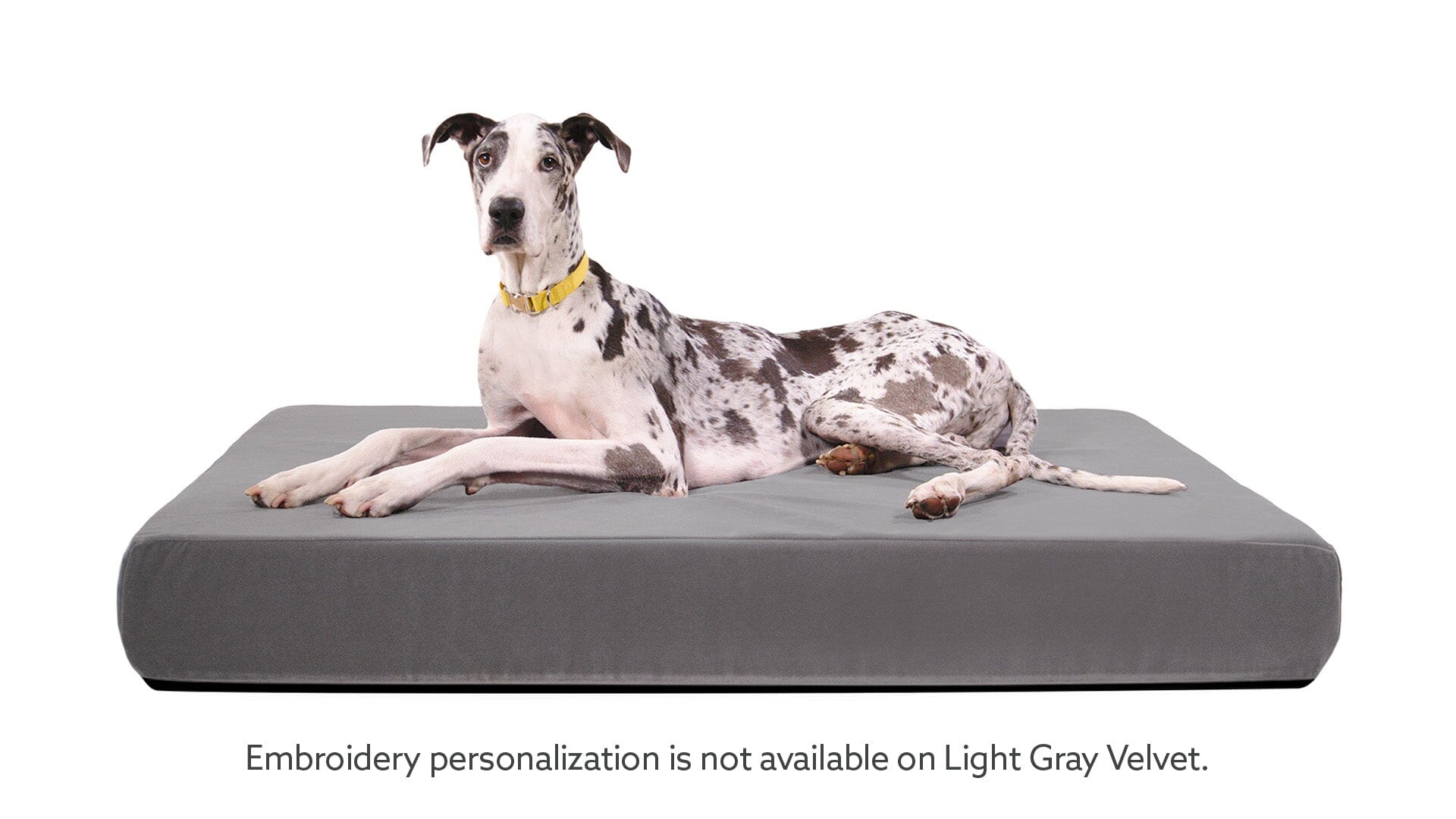 Giant & Extra Large Dog Beds | Durable & Tough | K9 Ballistics®