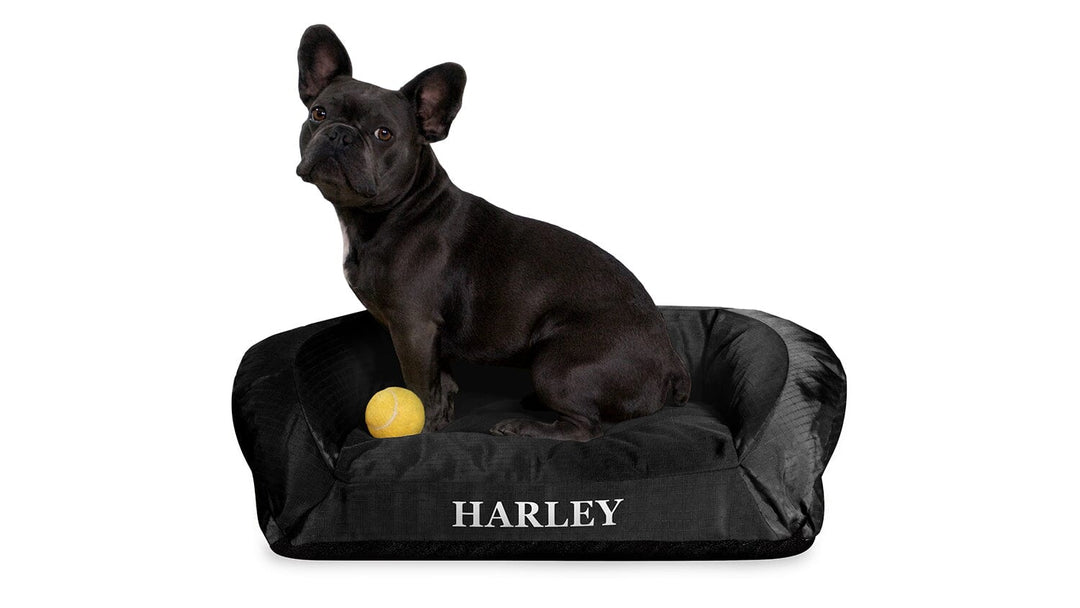 Giant & Extra Large Dog Beds | Durable & Tough | K9 Ballistics®
