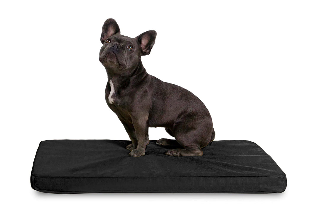 Chew Proof & Tough Dog Beds | K9 Ballistics®