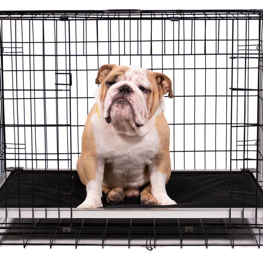 Chew Proof Armored™ Padded Elevated Dog Crate Bed | Indestructible Dog ...