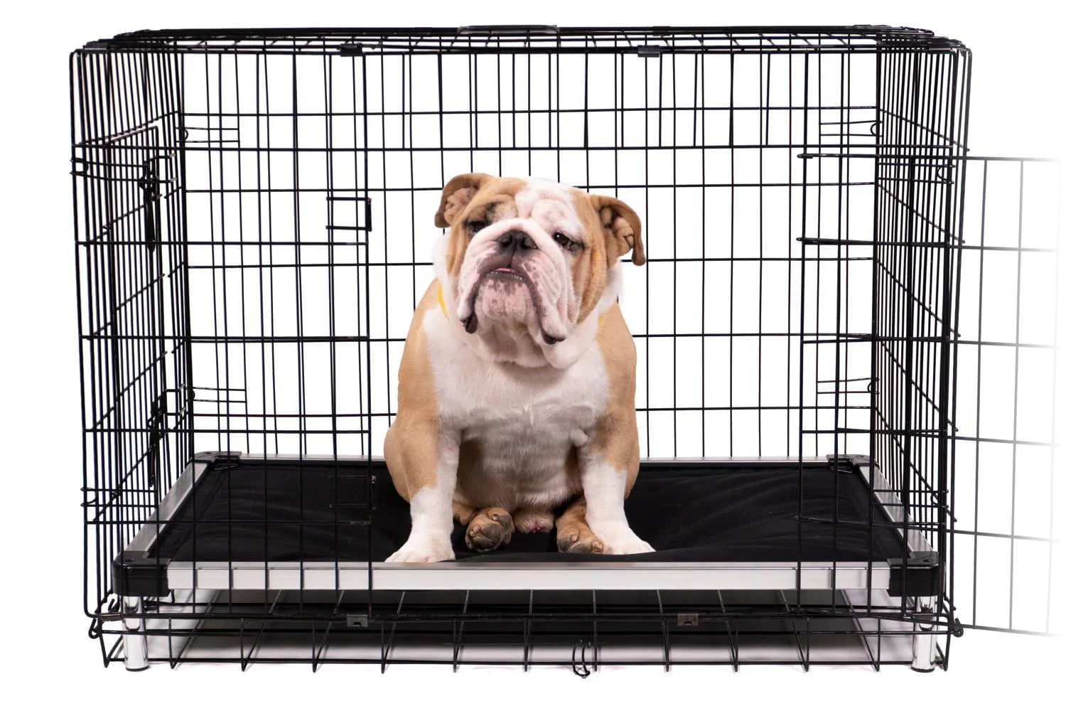 Chew Proof Armored™ Padded Elevated Dog Crate Bed - Open Box ...
