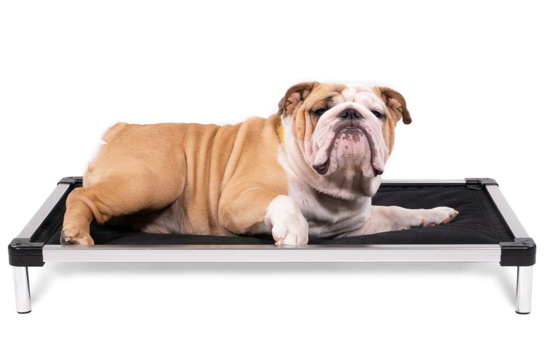 Chew Proof Armored™ Padded Elevated Dog Crate Bed | Indestructible Dog ...